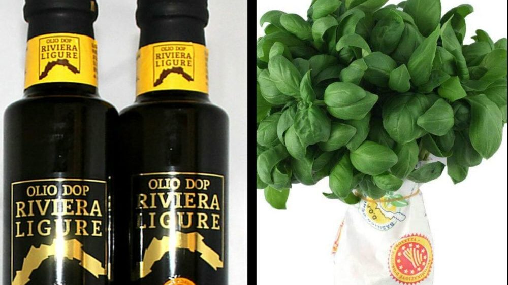 Olio DOP Riviera Ligure con Alvitrail 2019: il sogno, il territorio, il ...