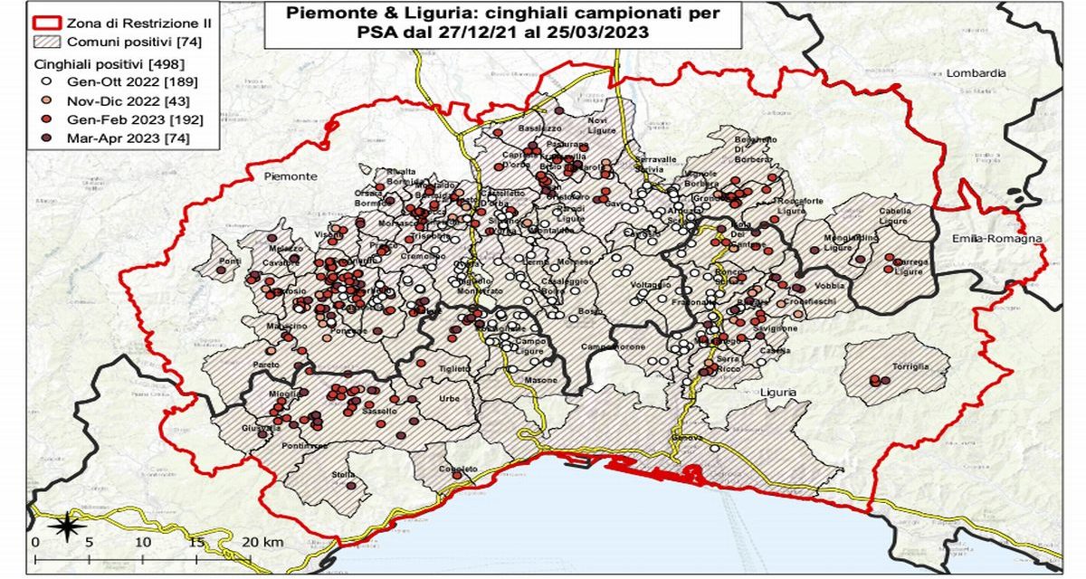 Peste suina africana, otto nuovi casi tra Piemonte e Liguria: salgono a ... Peste suina africana, otto nuovi casi tra Piemonte e Liguria: salgono a ...